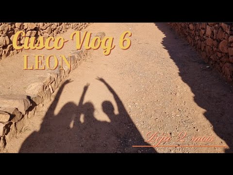 Léon - Vlog 6 - YouTube