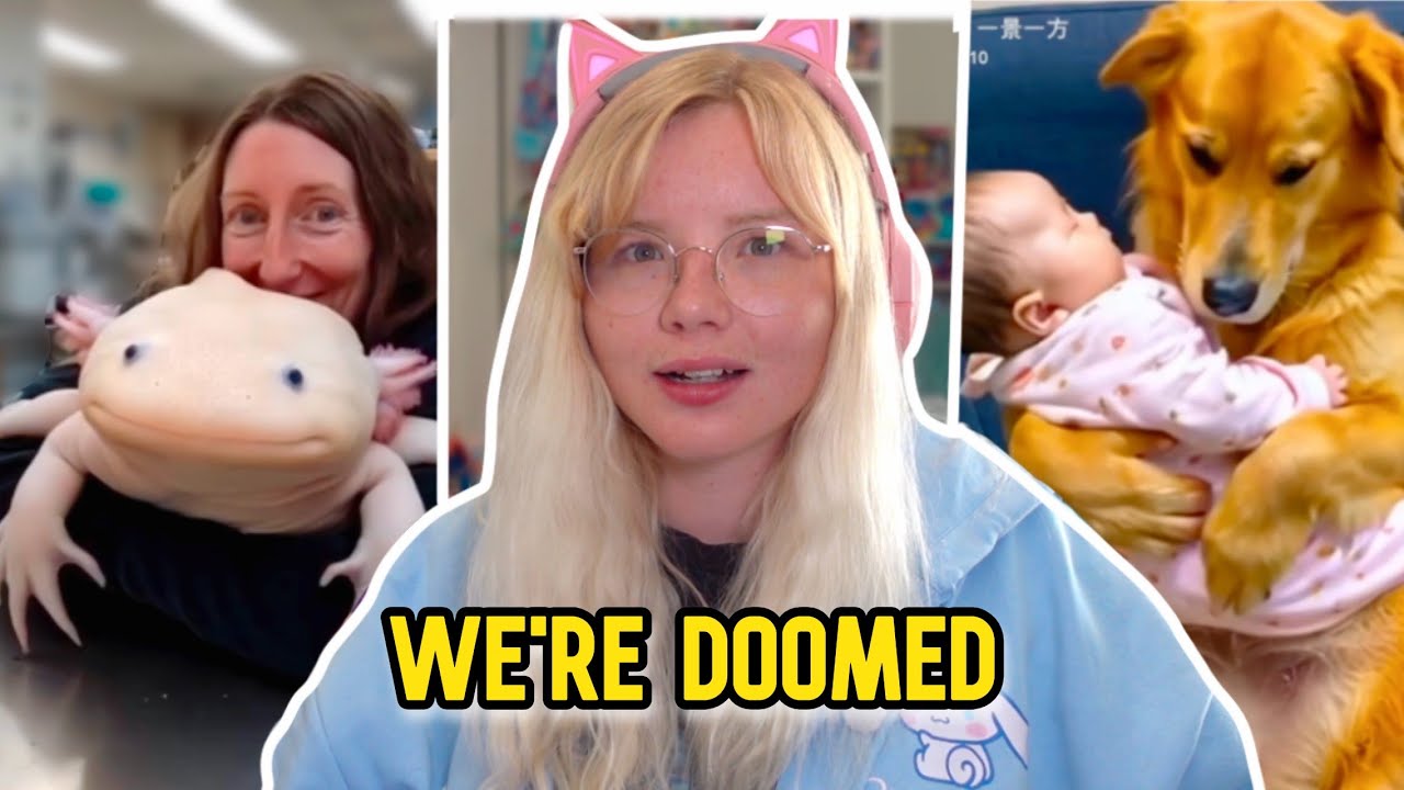 AI Animal Slop IS TAKING OVER Tiktok & Facebook - YouTube