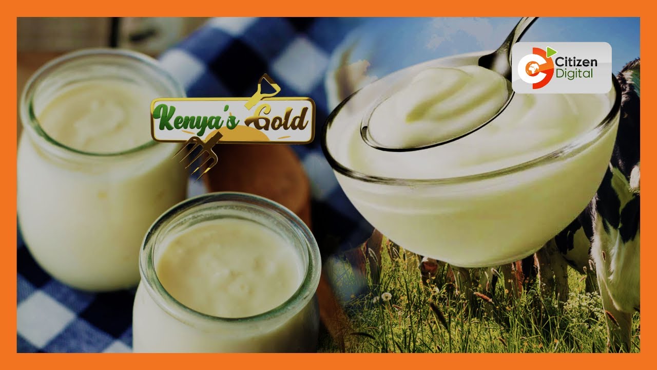 | KENYA'S GOLD | Dairy Value Addition: Making Yoghurt [Part 3] - YouTube