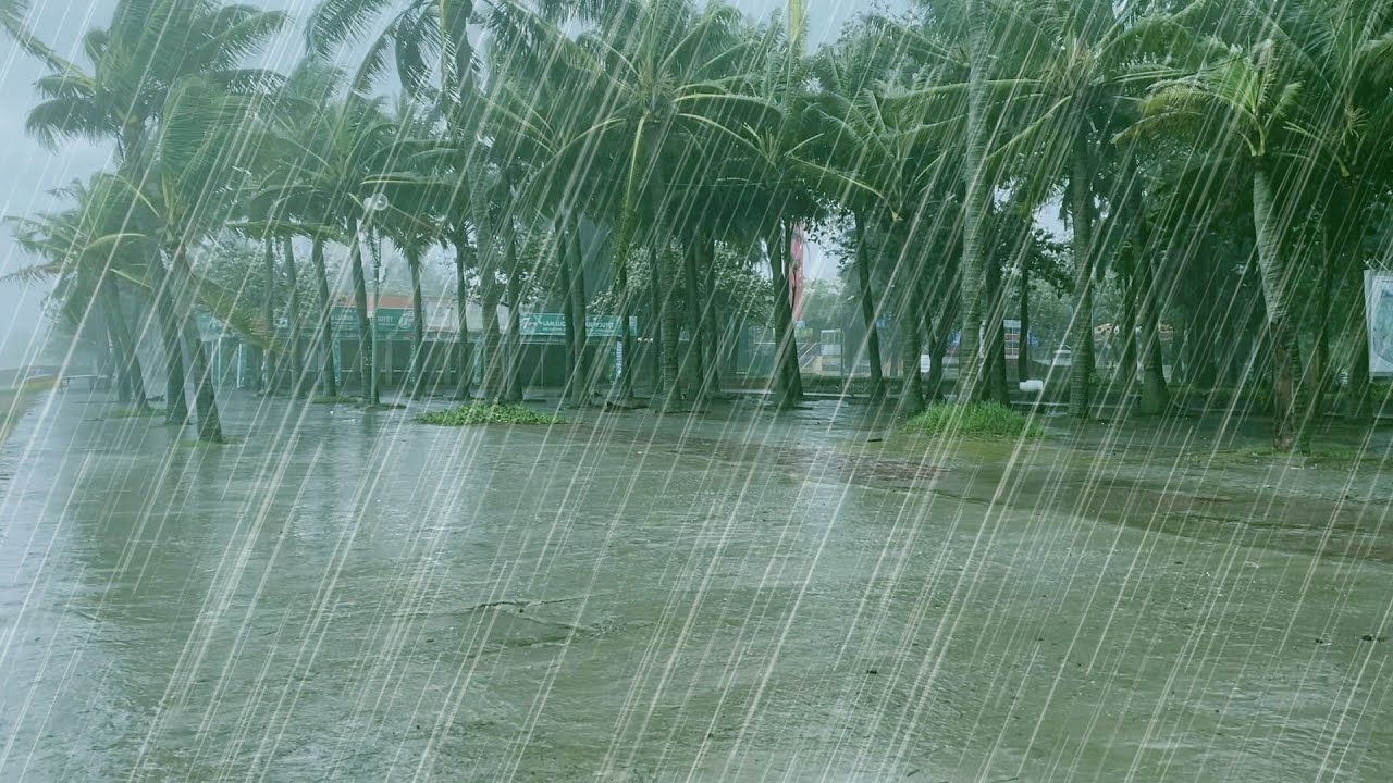 Fall into Sleep Instantly with Hurricane, Tropical Rainstorm, Strong ...