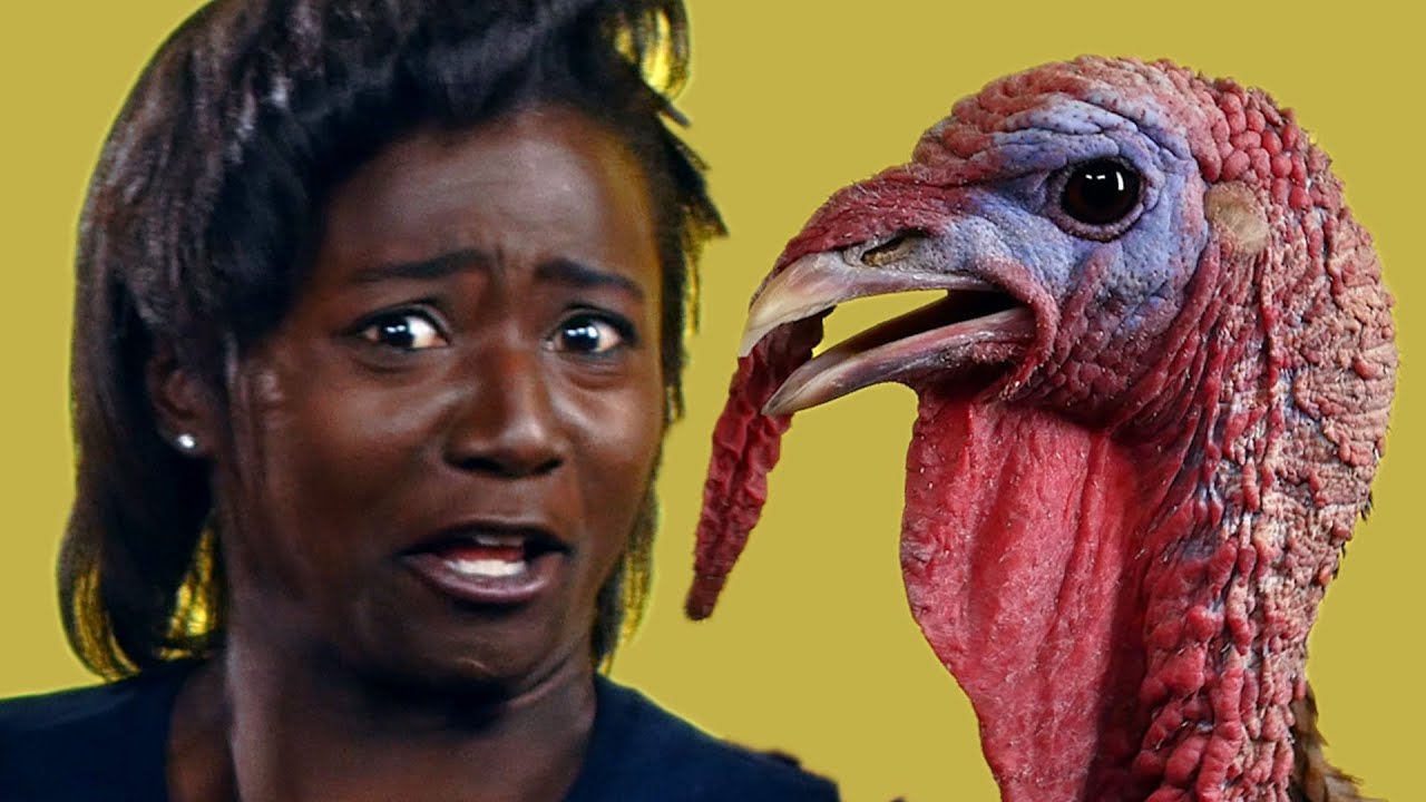 Olympians Get Surprised With A Turkey - YouTube