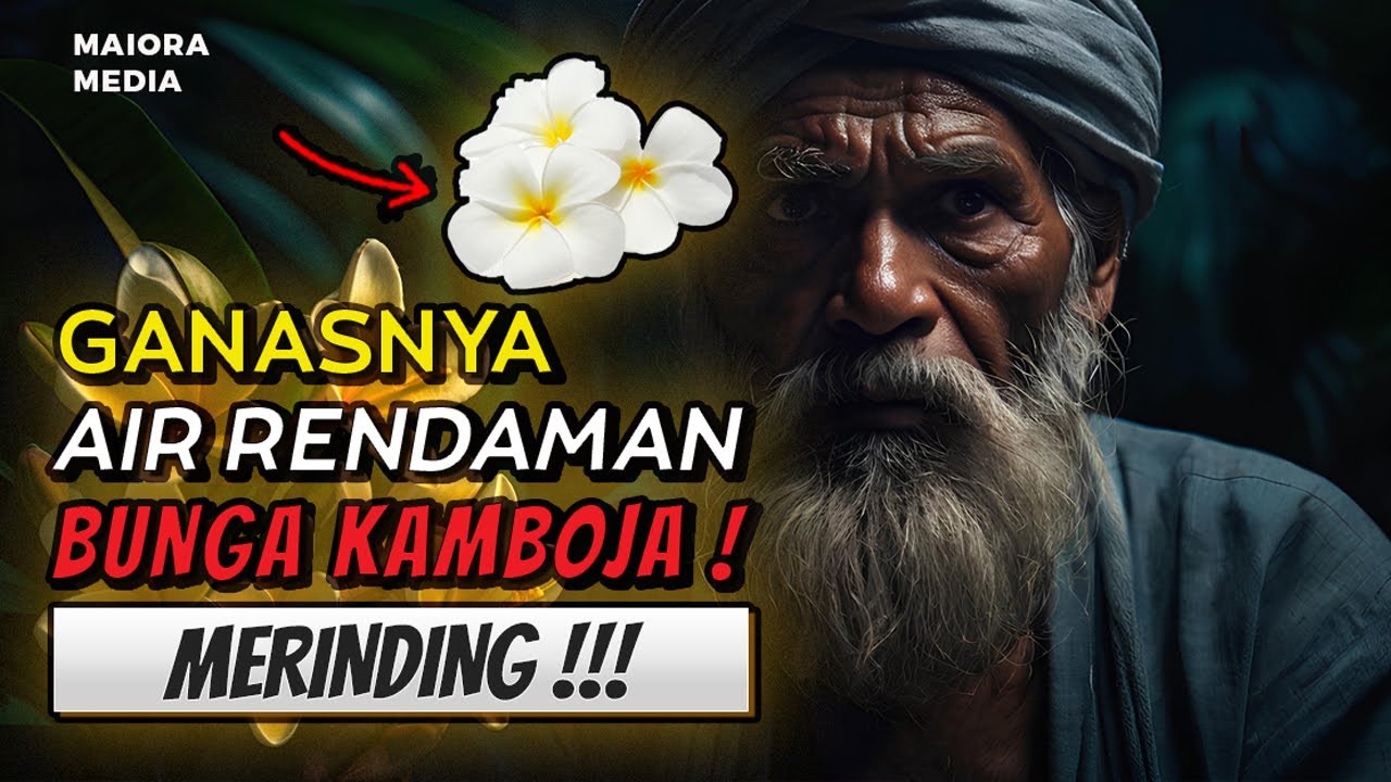 AJAIBNYA AIR RENDAMAN KAMBOJA Khasiat Gaib Bunga Kamboja Di Dunia ...