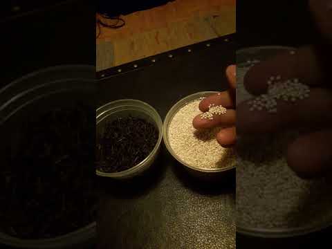 Is Whole Wheat Flour Acidic Or Alkaline