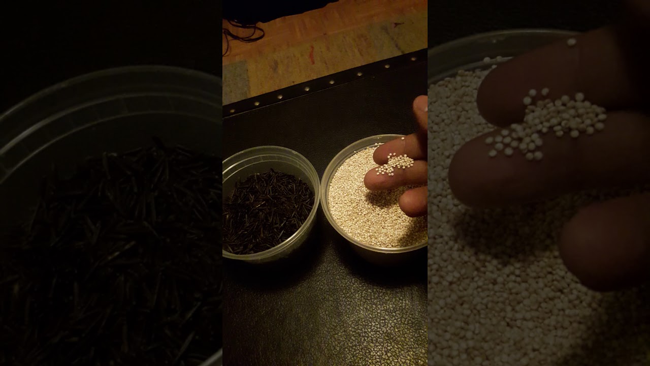 Alkaline grains vs Acidic grains - YouTube