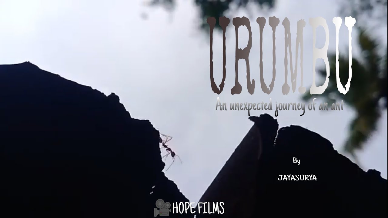 Urumbu short film the unexpected journey of an ant🐜🐜#vivo y19 - YouTube