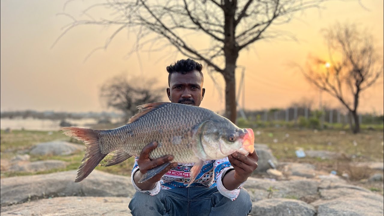 amazing fishing Big size bacha fishing-🐠🐠🐟 full video entertainment ...