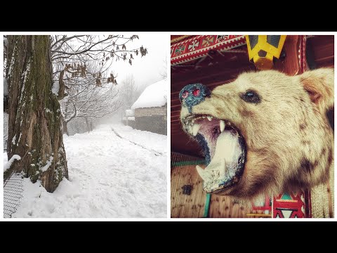 Qarlı Yollar | Kənd Həyatı | Zaqatala | Outdoor Life