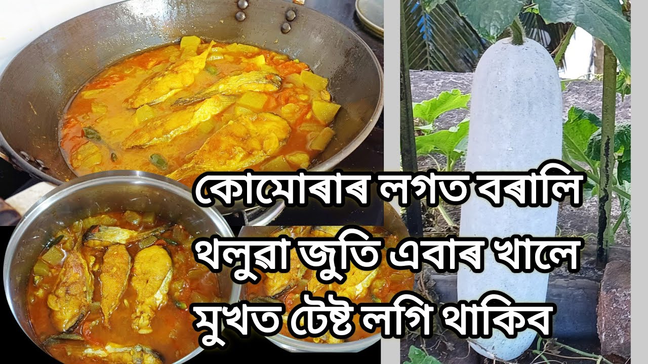 Ash Gourd and fish curry/kumura aaru borali mas Assamese traditional ...