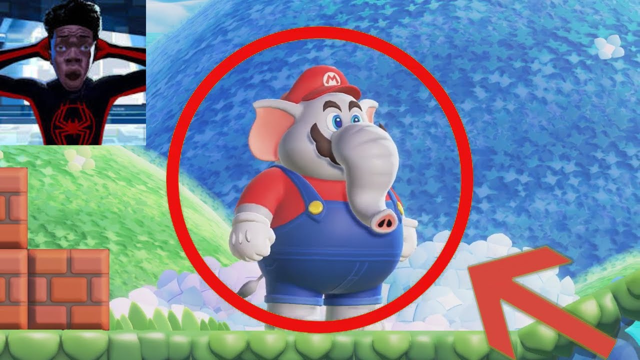 mario becomes big chungus elephant (real) - YouTube