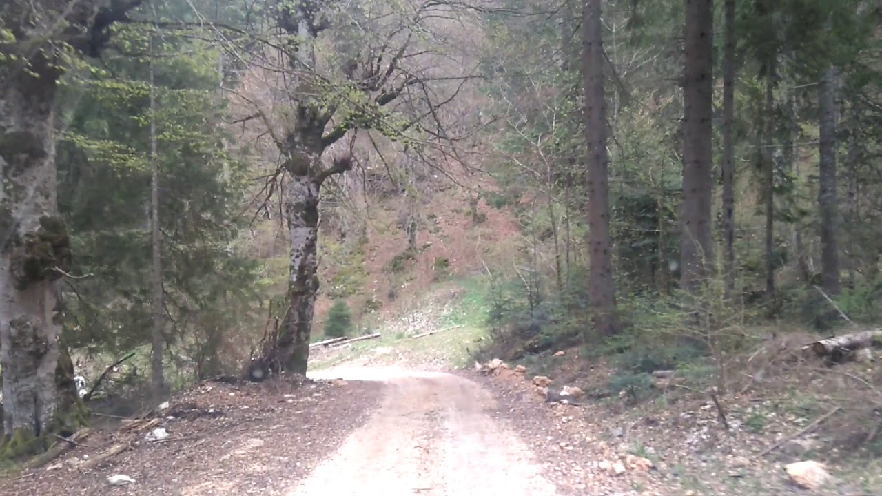 Jeep driving, road Curevac - Radovan Luka / Durmitor National Park ...