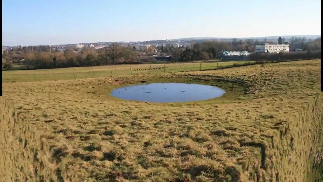 The LSD landscape - Migrate through your mind - YouTube