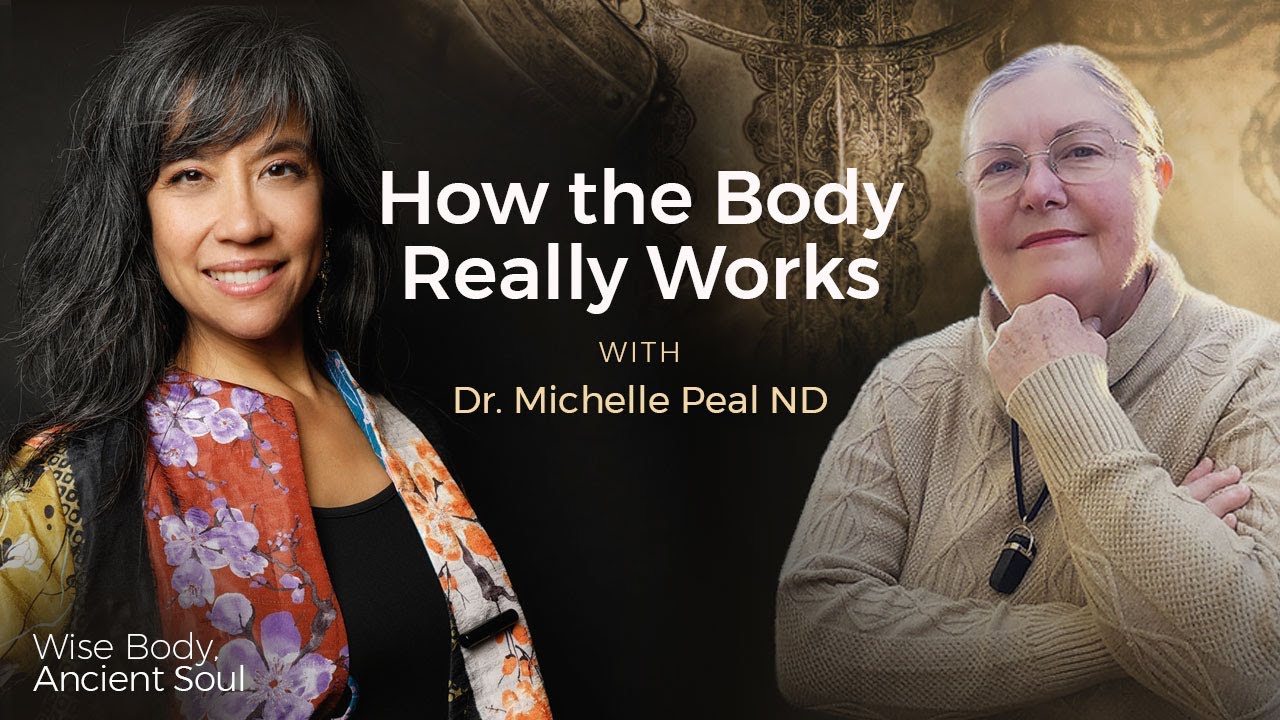 How the body really works: Going scalar with Dr. Michelle Peal - YouTube