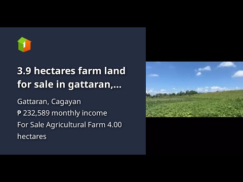 3.9 hectares farm land for sale in gattaran, Cagayan 15m with title ...