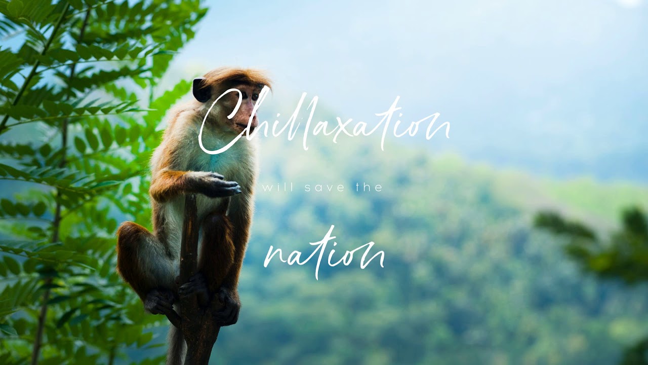 Devon Elizabeth - If Only | Chillaxation 🍦 - YouTube