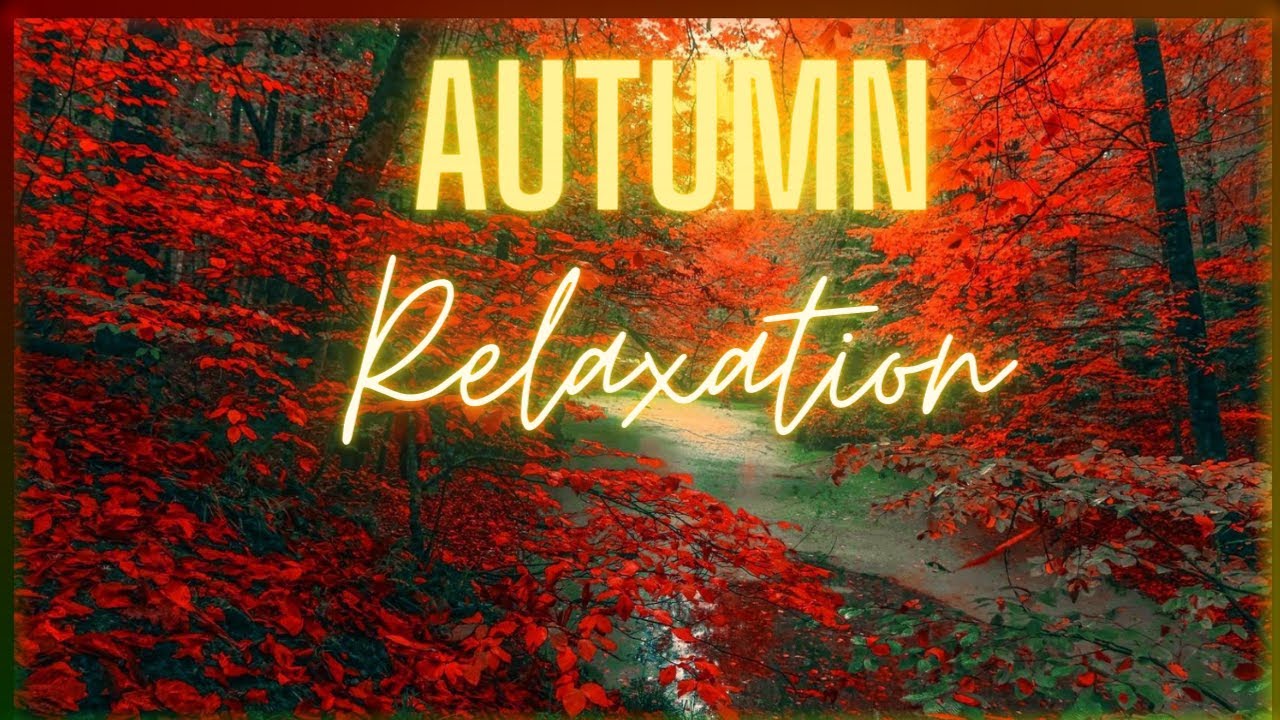 🍂Relax Into The Autumn Season Relaxing Music For Study Sleep and ...