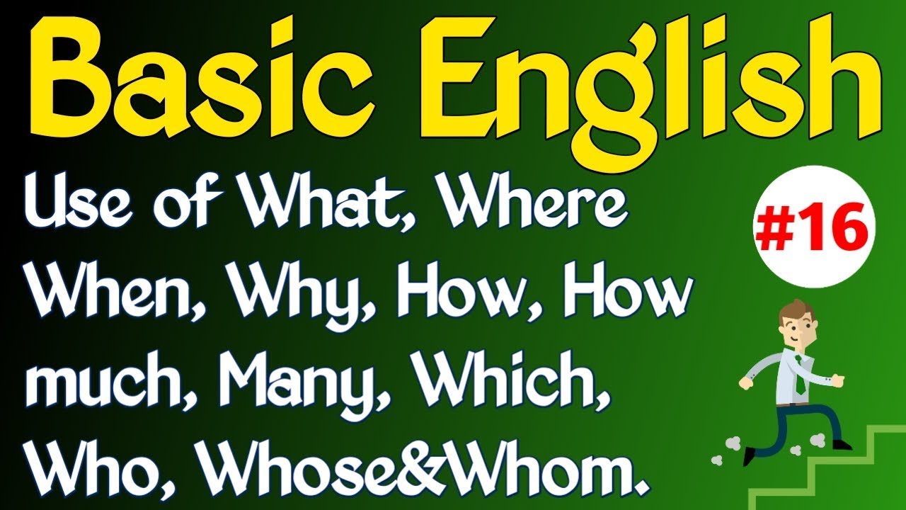 Use of What, Where, When, How, Why, How much, How many, Which, Who ...