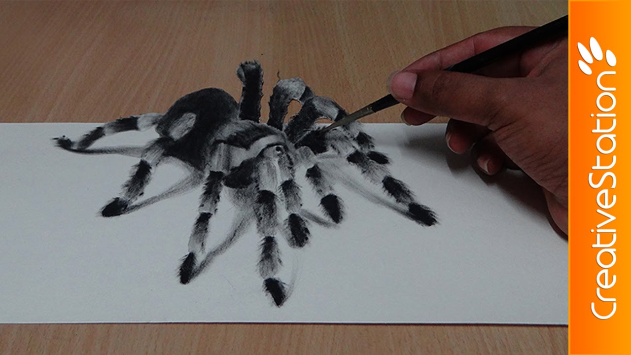 3D Spider - Speed Drawing | CreativeStation - YouTube