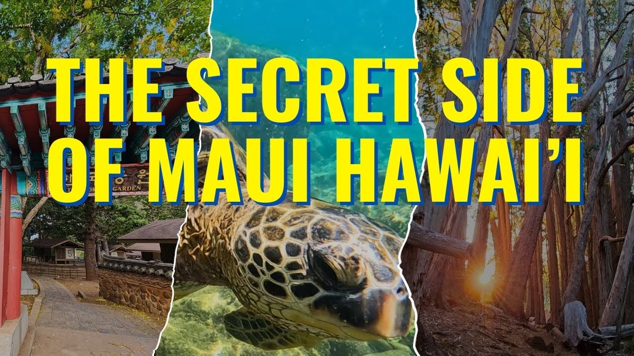Discover Maui: 7 Hidden Gems you NEED to see on your next trip! Beaches ...