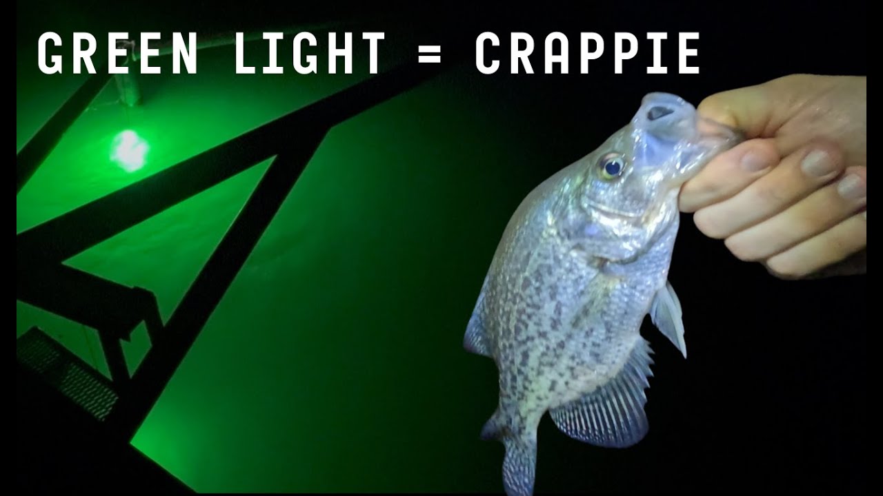 Night Fishing With Green Lights- My Full Setup + Crappie Catching ...