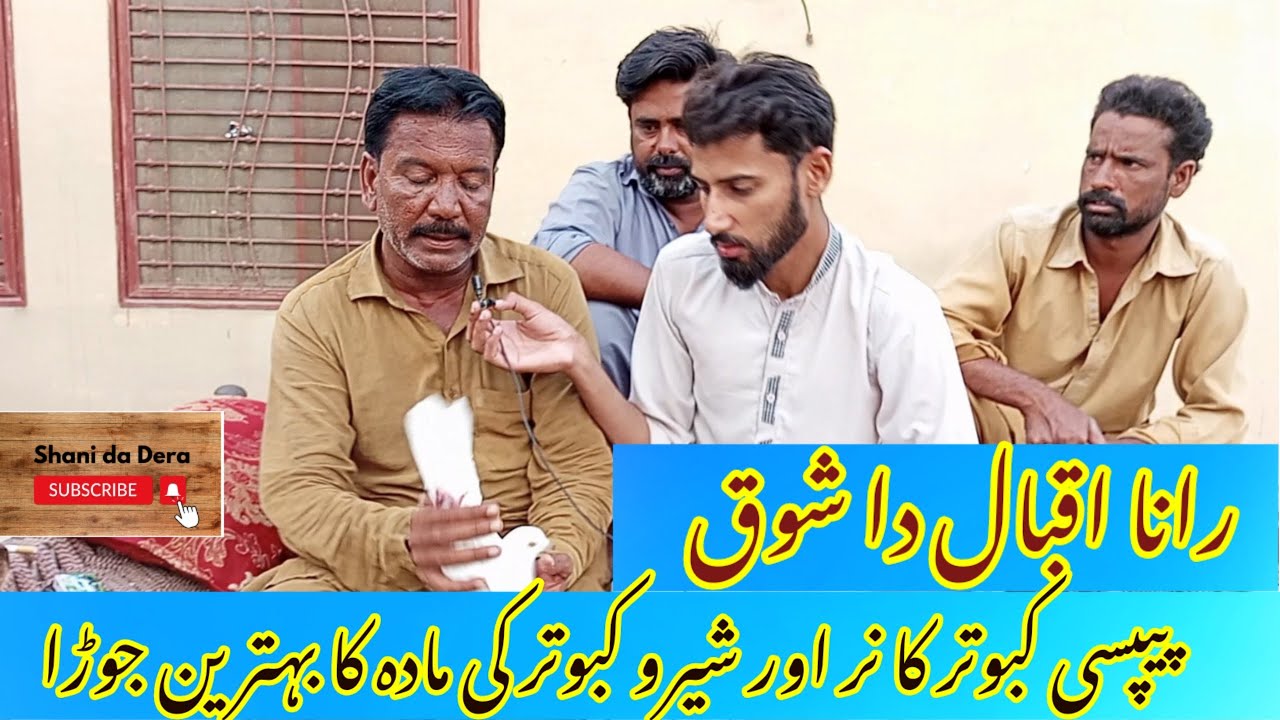 Rana Iqbal ka khas Shoq, Pepsi kabotar ka Nar Kabotar or Shar-e-Punjab ...