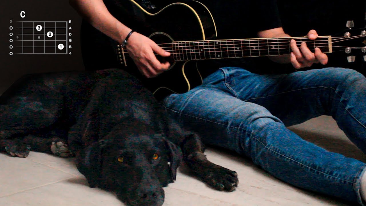 Mi PERRO ESCUCHA Colapso de Kevin Kaarl - GUITARRA DEMO | Acordes - YouTube