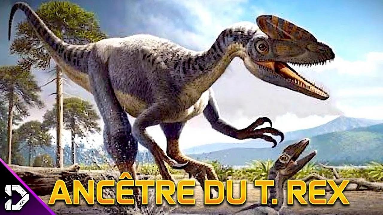 Le prédateur ultime avant le T. Rex : encore plus mortel ! - YouTube