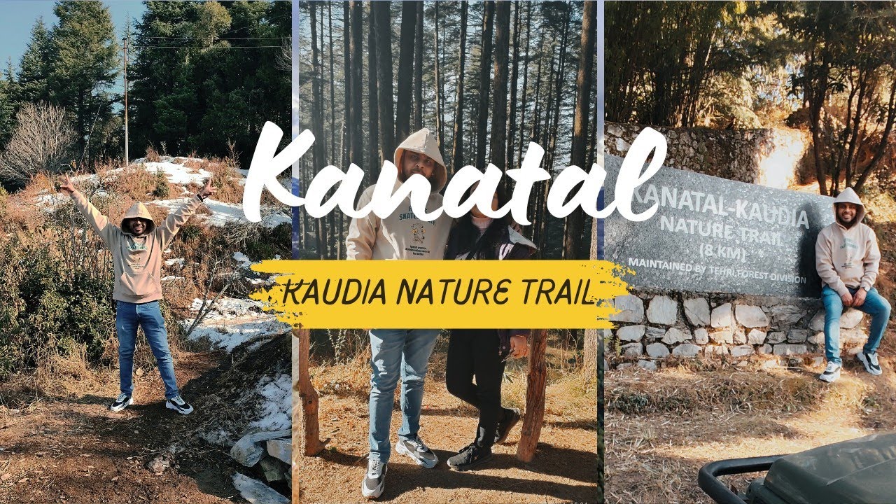 Kaudia Nature Trail Kanatal | Kaudia Forest Kanatal Uttrakhand - YouTube