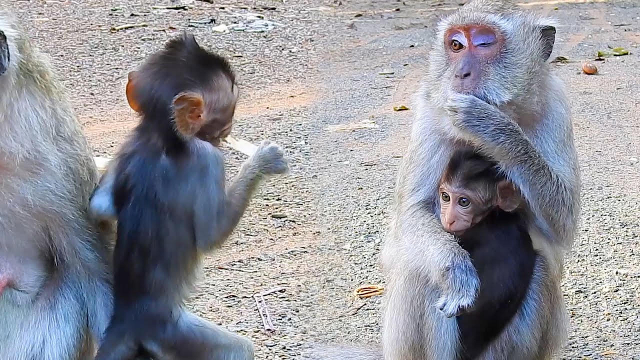 Very active baby trying to leave mom to walk - YouTube
