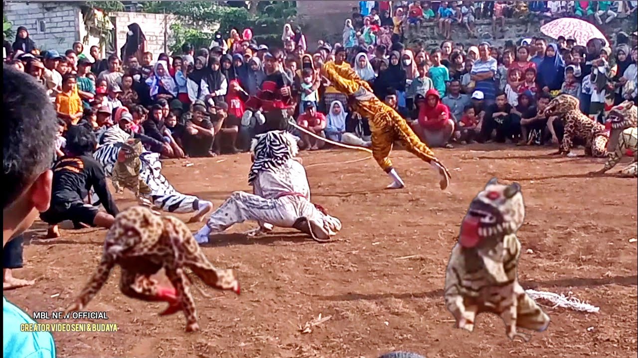 Macan Alas Ngamuk‼️Putra Waringin Jati Luhur Live Pangklungan - YouTube