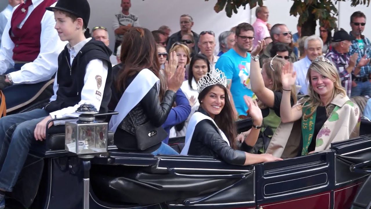 Winzerfest Döttingen 2015 - YouTube