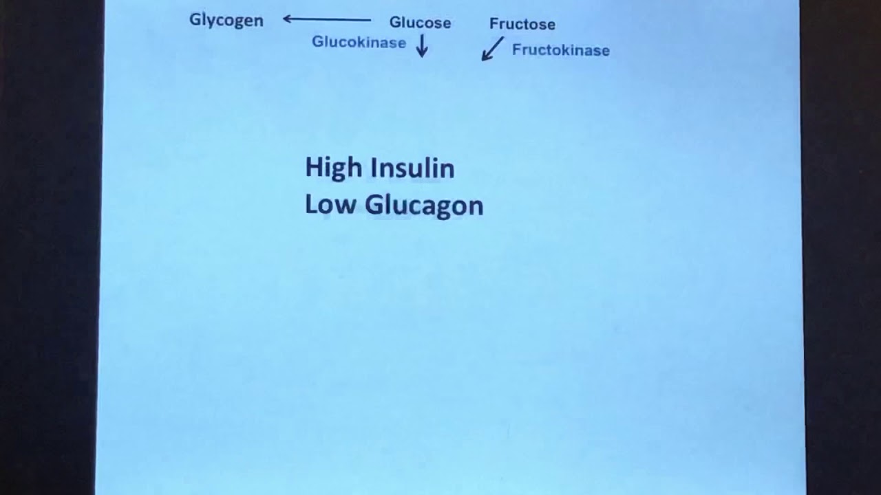 #MCAT biochemistry: the skinny on making fat from med-pathway.com - YouTube