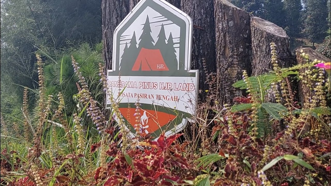 mau Camping atau Campervan??? bisa semua !!! | Panorama Pinus HJP Land ...
