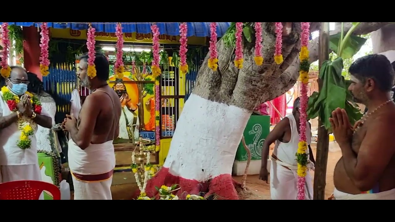 pochikkadu Muniswaran kovil ELANGESHWARAN KODAI VILA ANNA SELVARAJI Kumbaabishekam - YouTube