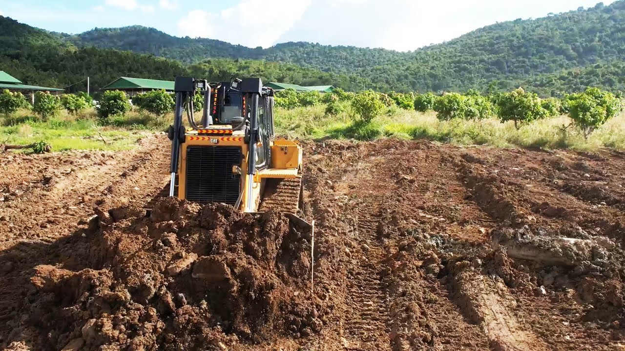 Special Powered Strong CAT D6R2 Bulldozer Pushing Land Make Filling Up ...