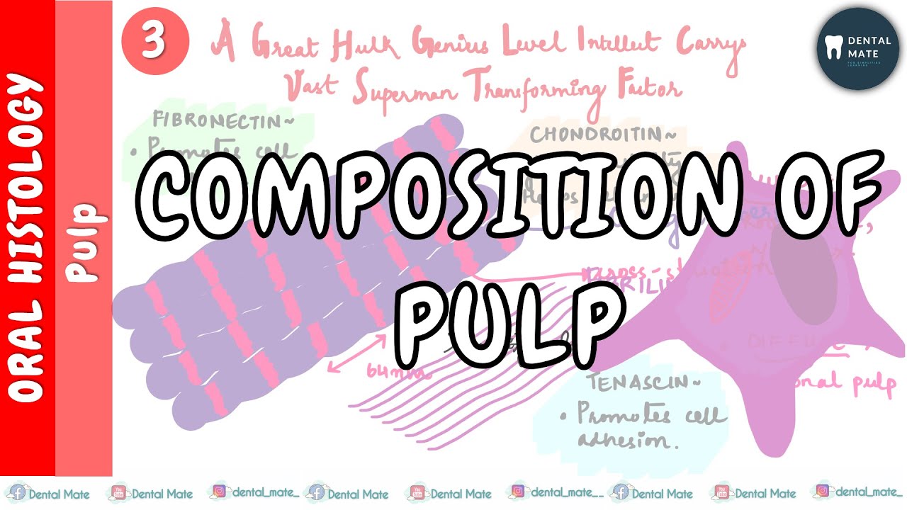 Composition of pulp | Cells | Fibers | Ground substance | Pnemonics ...