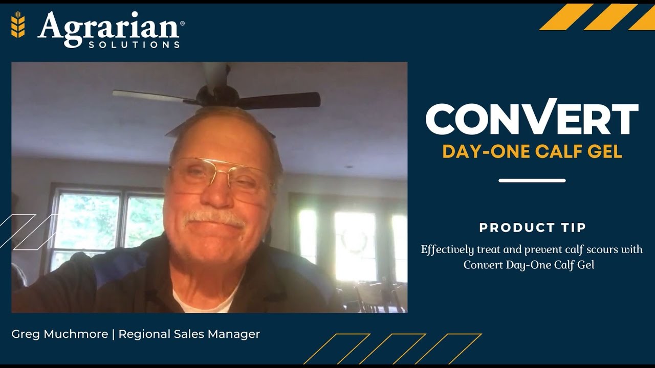 Convert Day-One Calf Gel - Agrarian Solutions - YouTube