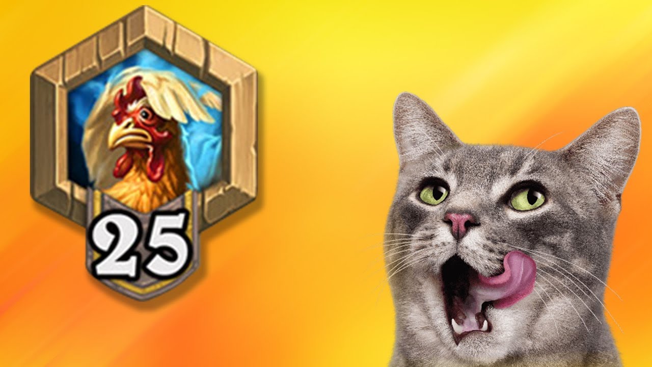 Hearthstone: My Cat Got 25 RANK! - YouTube