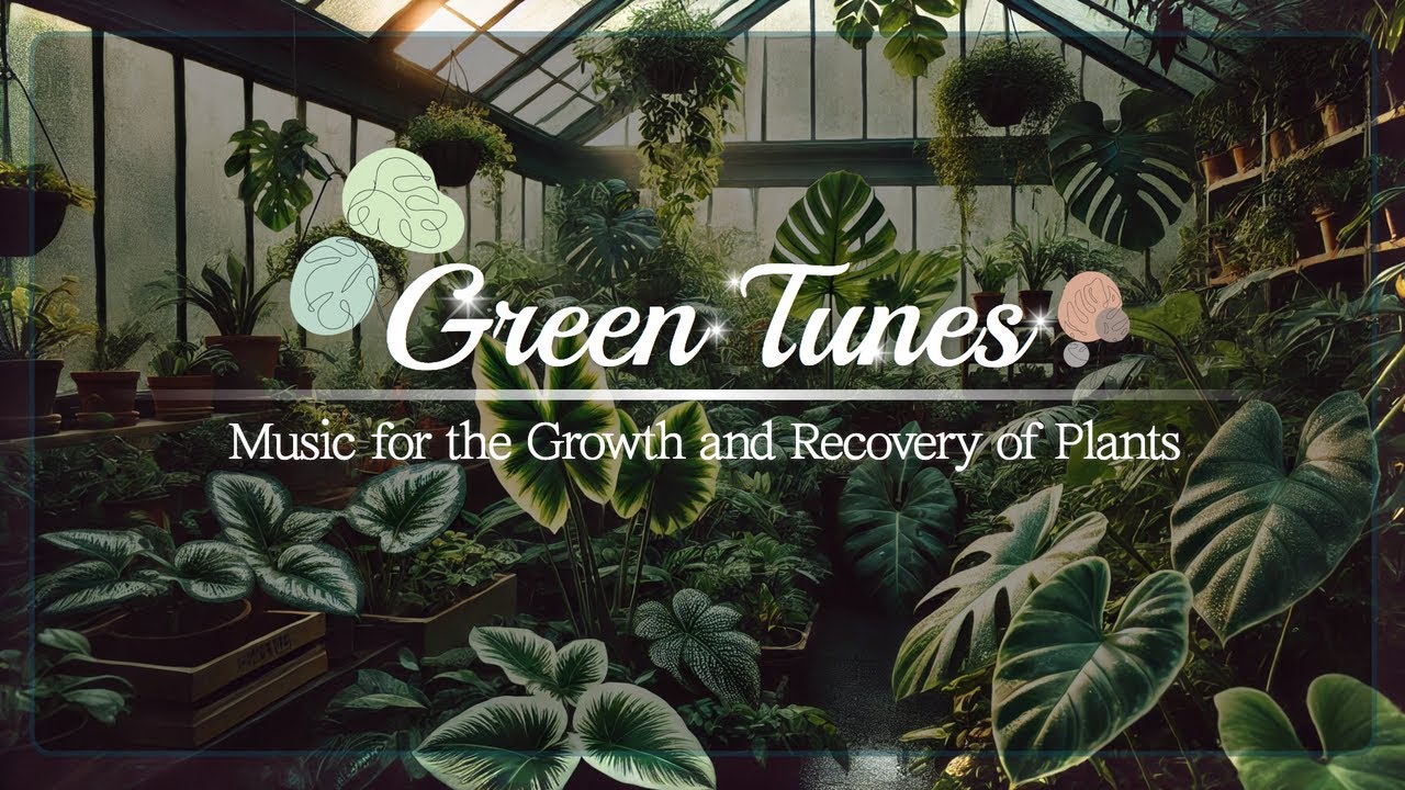 [For plants]🌿A Collection of Songs for Plant Parents to Help Their ...