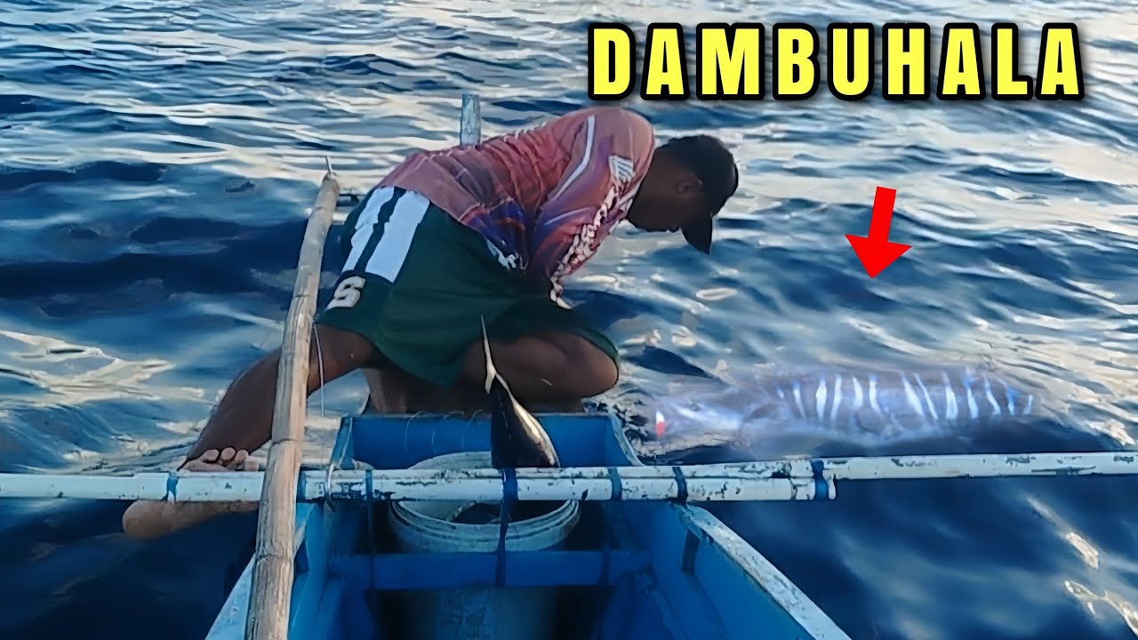 DAMBUHALA SA LAKI! | HALOS HINDI KINAYA NG KAWIL KO - YouTube