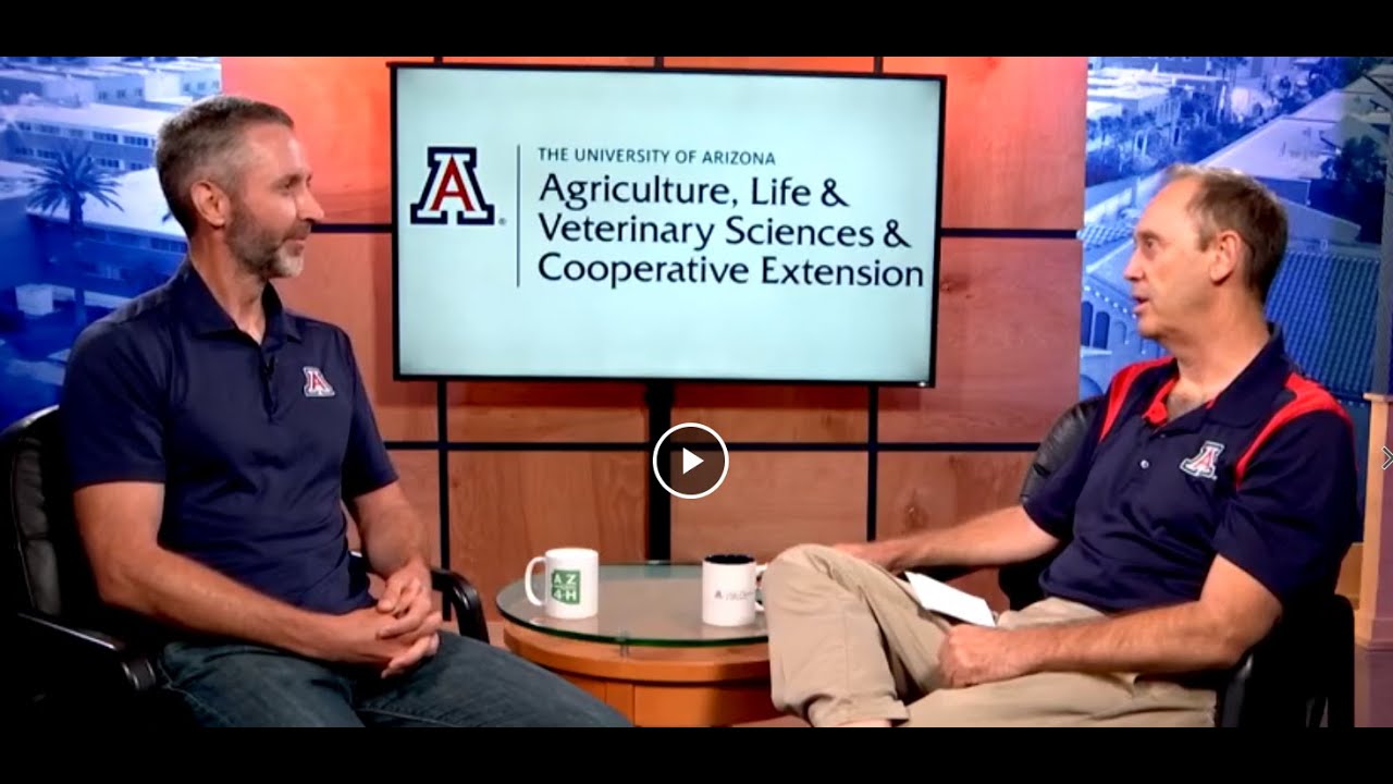 UArizona Life & Science: Michael Bogan - YouTube