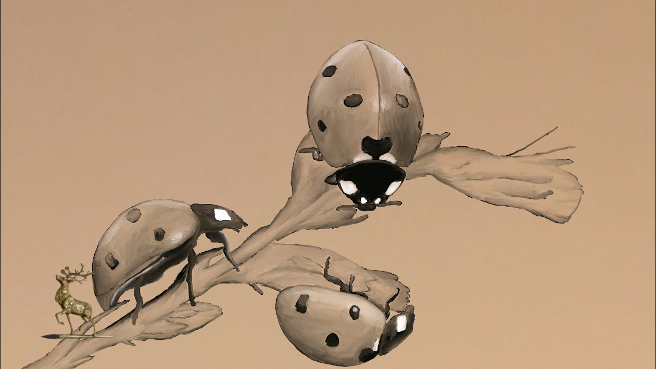 Toned Tan Insect Ecotherapy - Ladybug Tea Party - YouTube