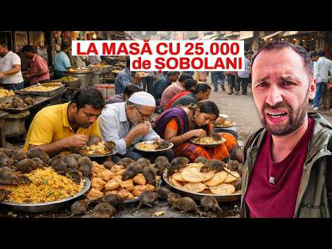 COȘMARUL INDIAN: La masă cu ȘOBOLANII | Singur în cel mai CIUDAT loc de pe pământ