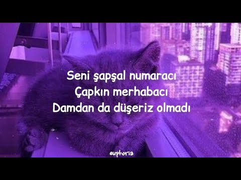 mabel matiz // numaracı (sözleri/lyrics)