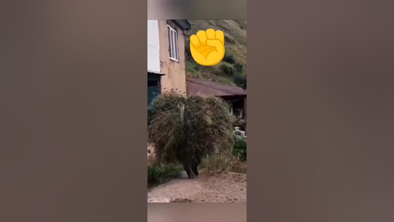 Как то так и никак иначе,.. за каждым успешным мужчиной стоит мудрая ...