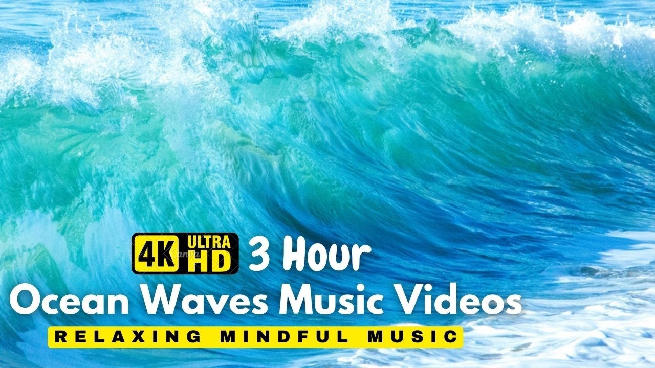 Relaxing Music with 4K Beautiful Ocean Wave Nature🐬Peaceful Piano ...