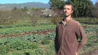 Fairview Gardens Organic Farm nestled in an urban area of Goleta California