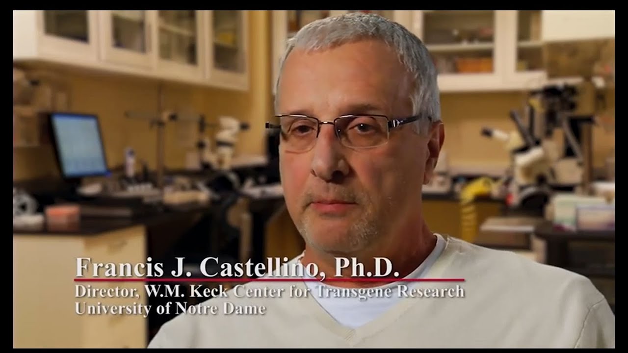 Frank Castellino, W.M. Keck Center for Tansgene Research - YouTube