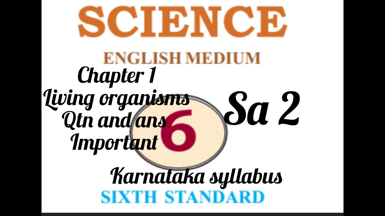6th std science SA2 - YouTube