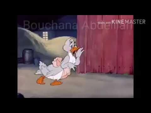 Tom en jerry tarjama maroc