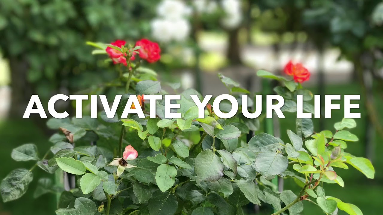 Inhale Life - YouTube